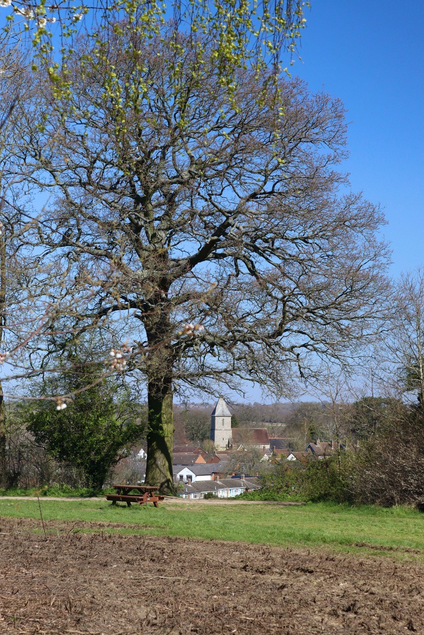Jersey Farm Woodland Park