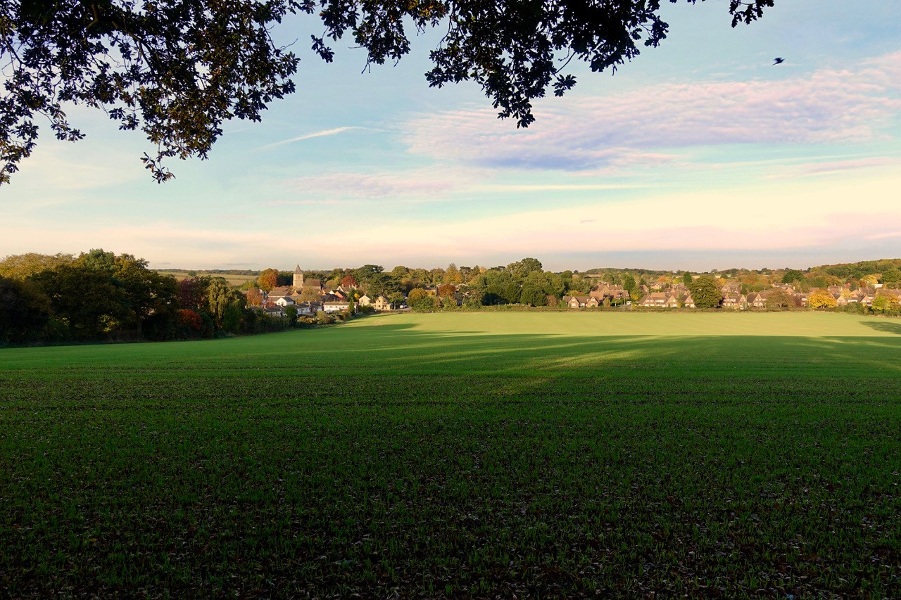 Jersey Farm Woodland Park