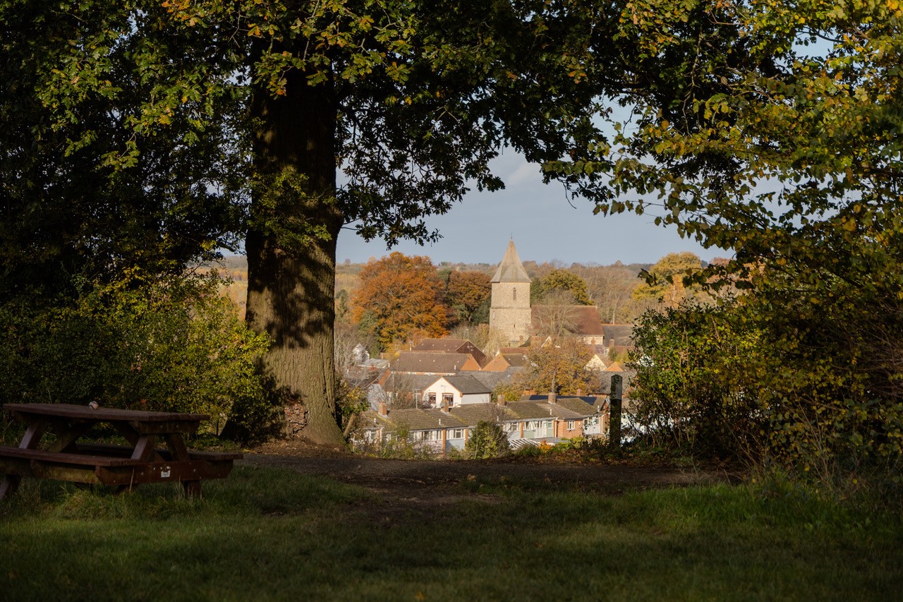 Jersey Farm Woodland Park