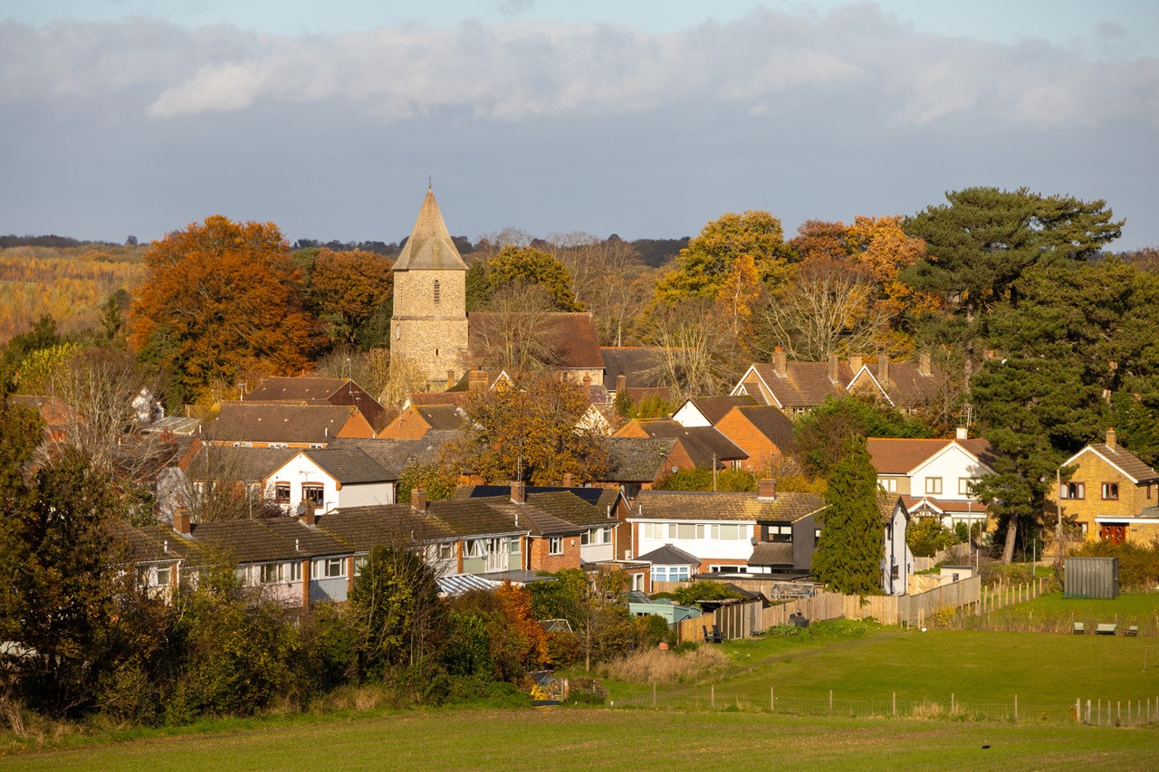 Jersey Farm Woodland Park