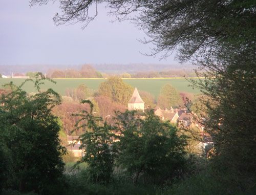 Jersey Farm Woodland Park