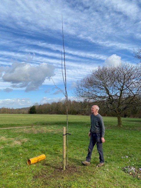 Latest News and Important Announcements