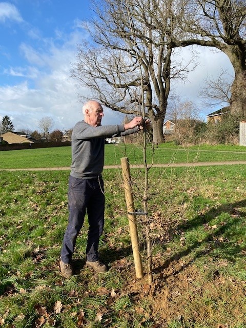 Latest News and Important Announcements